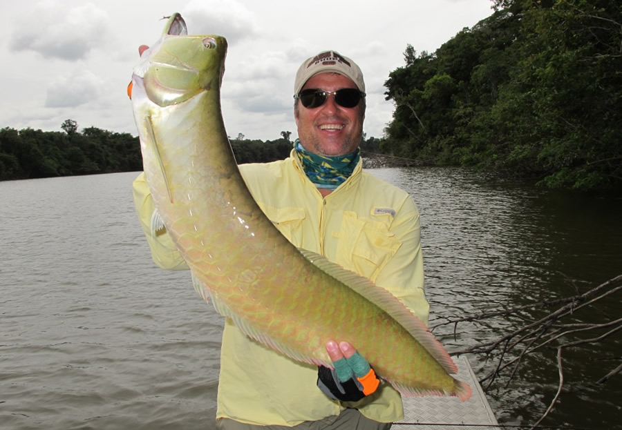 Espécies do rio Amazonas – River Plate Pesca