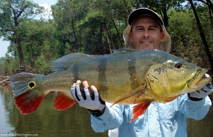 Tucunaré – River Plate Pesca