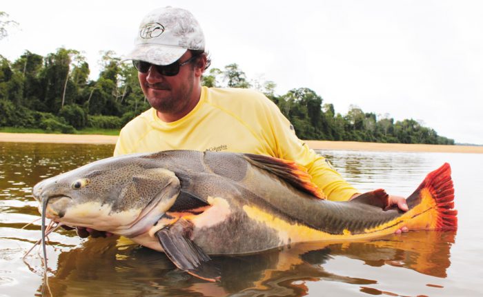 Espécies do rio Amazonas – River Plate Pesca
